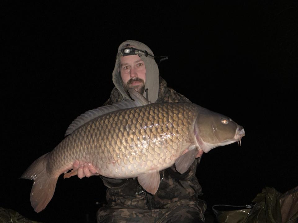 Pb common | Total Carp